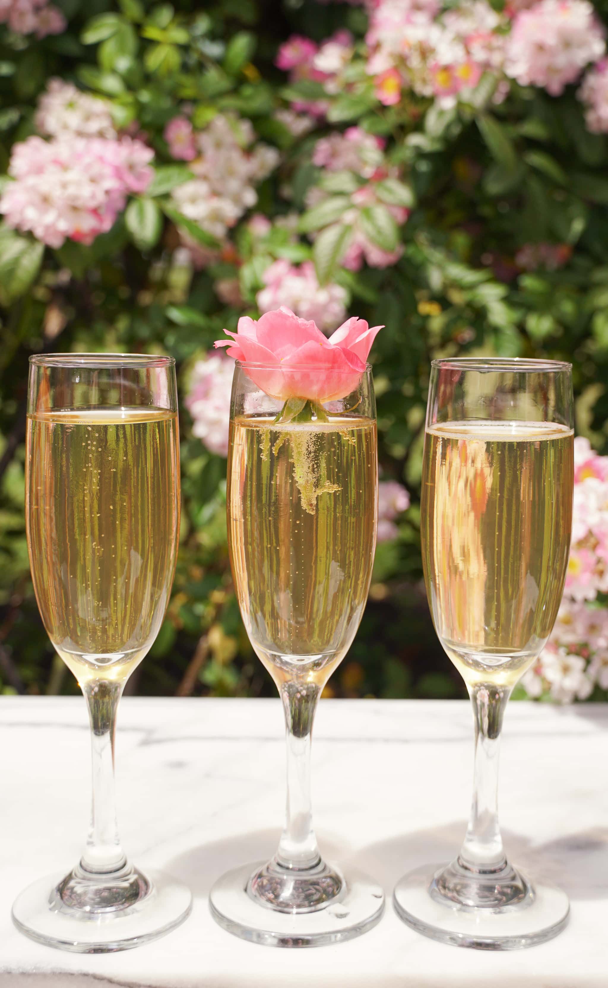 Rose | Wild Moon Liqueurs | Hartford Flavor Company